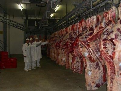 Rind - Hahn Fleischgroßhandel